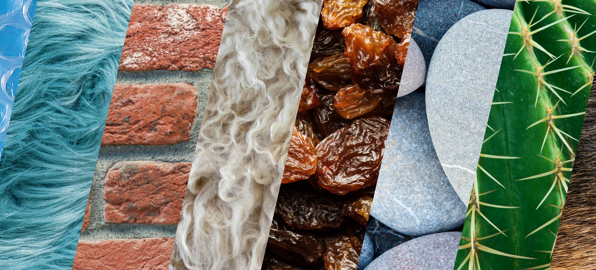 Lesson 2: Understanding and Creating Texture | Cambridge Primary Art & Design